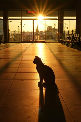 See the world in vertical: Top photos by AP photojournalists | National ...