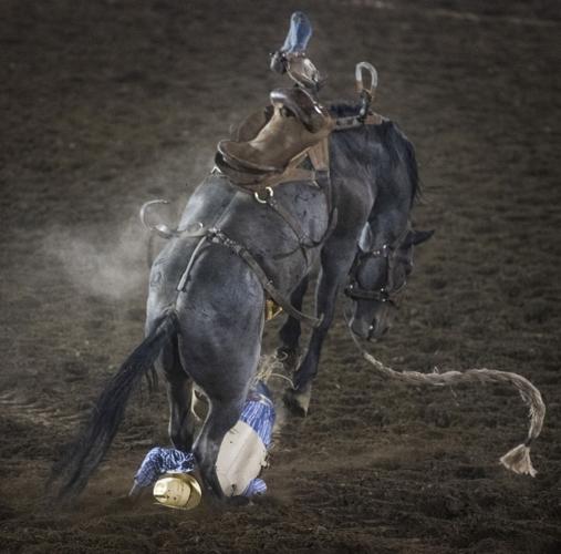 Walla Walla Fair & Frontiers Days Rodeo | Photo Galleries | union ...