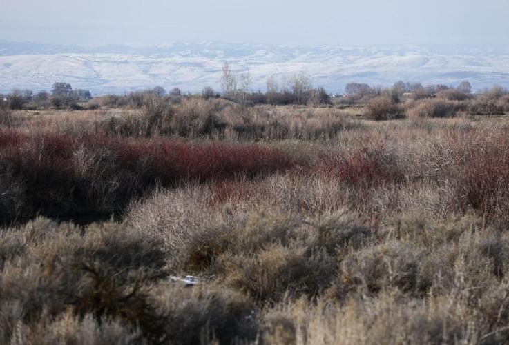 Other Views: Why the 1878 forced march of the Northern Paiutes is still ...