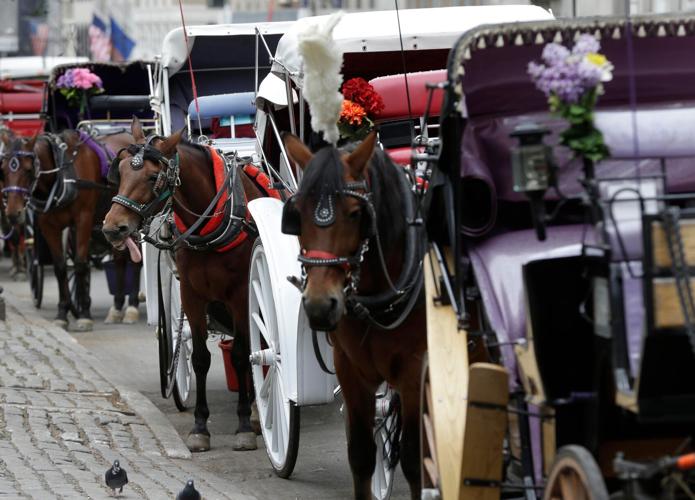 New York mayor, other leaders push to end horse carriage industry after ...