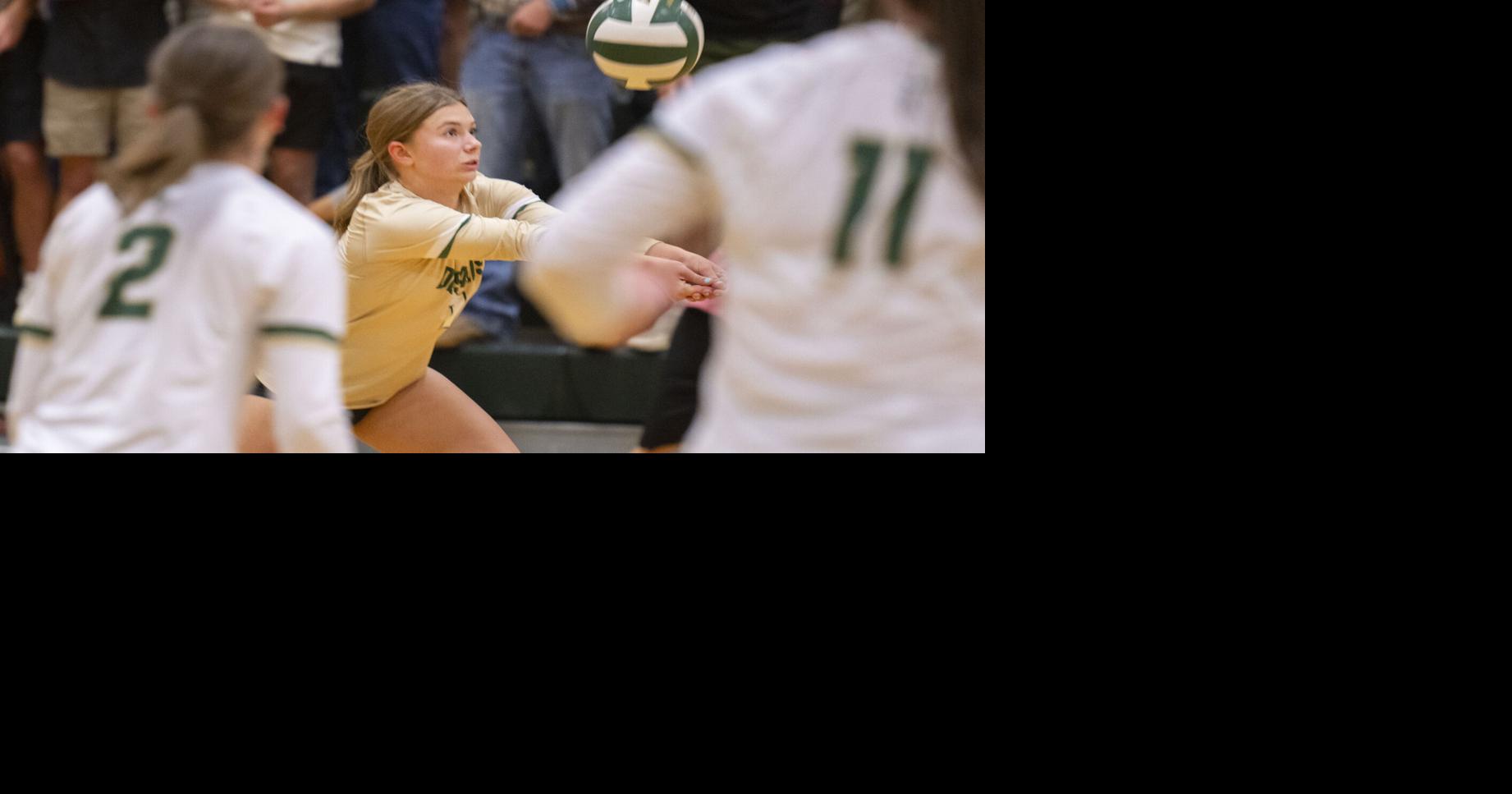 DeSales volleyball teamwork fires up standout Helen Hellberg-Wilson ...