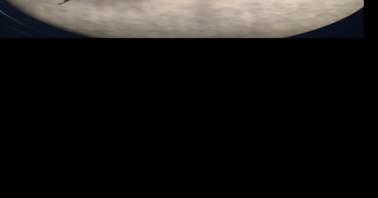 Ticks spreading in the Pacific Northwest? Warming trends could worsen ...