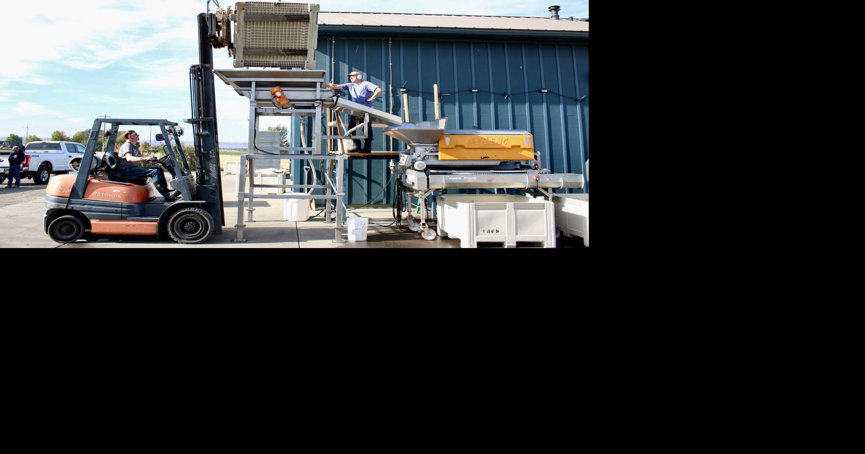 Brett Brockmeyer joins Isenhower Cellars in Walla Walla as new head ...