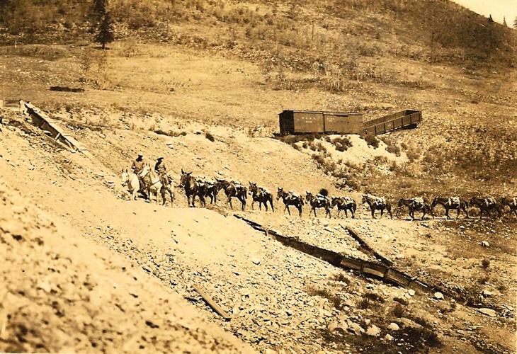 Roots of the Valley | Lifestyles | union-bulletin.com