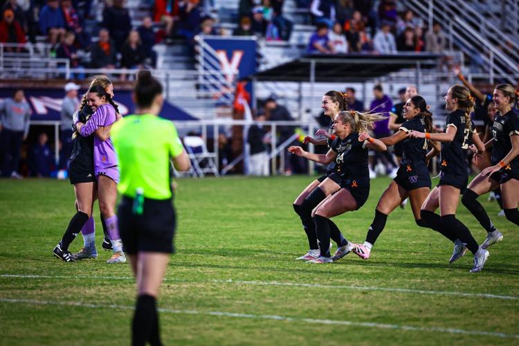 why do huskies punch