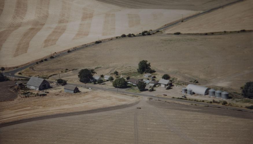 A look into the history of Walla Walla’s Ferrel Seed Farm, a sixth ...