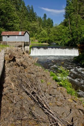 New state initiative strives to improve stream flow in the Walla Walla ...