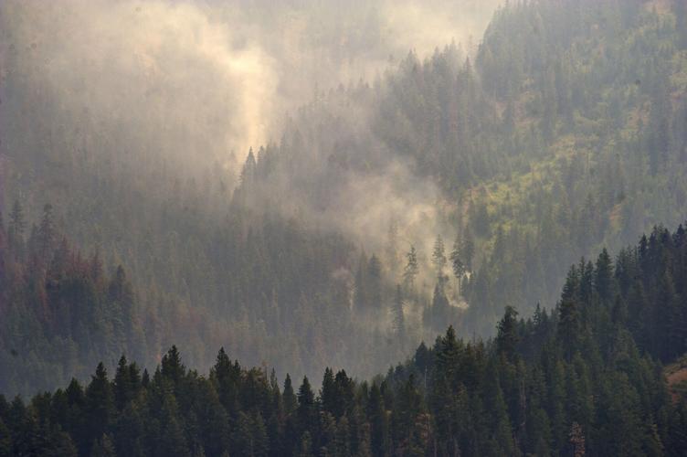 Elbow Creek and Green Ridge fires burn close to 30,000 acres | Wildfire ...