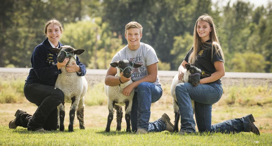 With the Fair canceled, new programs emerge to help youth make it to ...