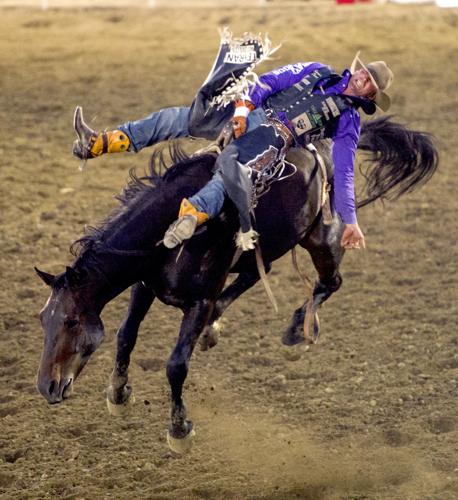 Tuf Cooper wins steer roping; Frontier Days Rodeo wraps up | Sports ...