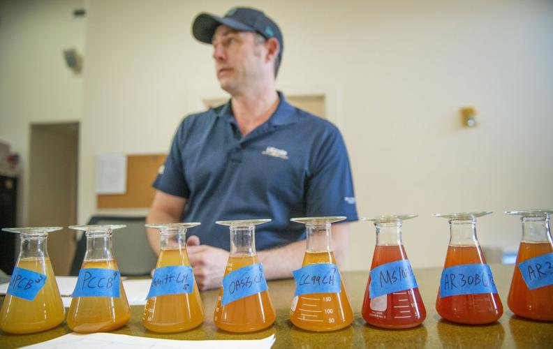 Walla Walla Valley grape harvest, delayed by cold spring, is decided by ...