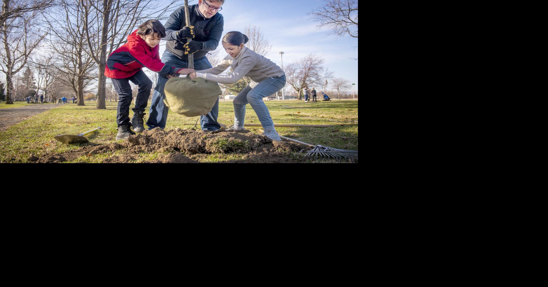 Rotary Tree Planting, Mar. 18, 2023 | Photos | union-bulletin.com