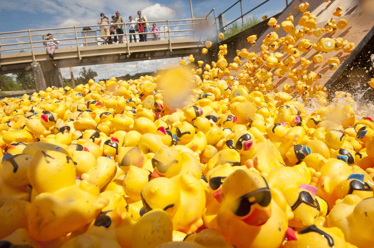 Ducky Derby sets ticket record as more than 19,500 ducks hit creek ...