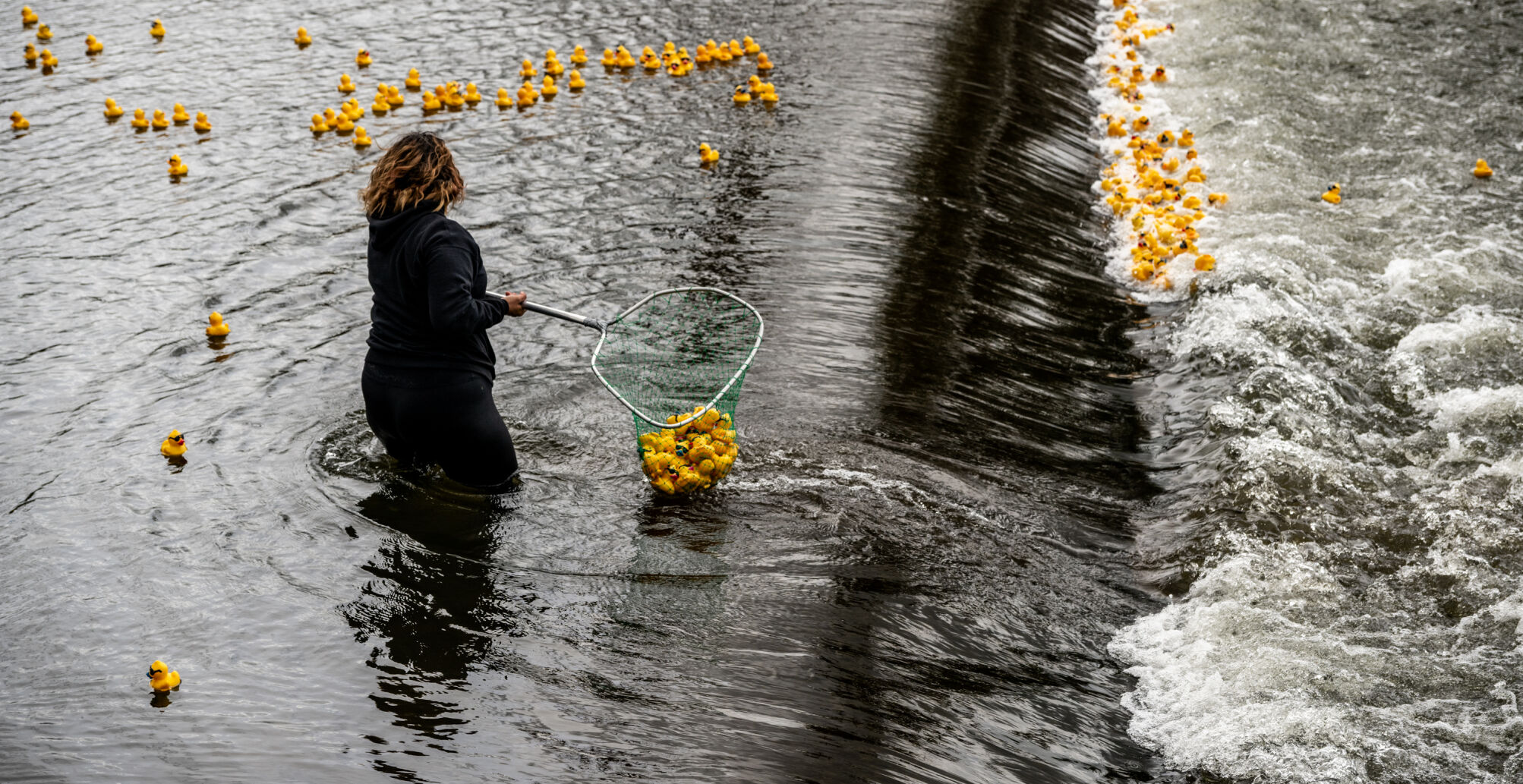 2026 Ducky Derby returns to cold waters of Mill Creek | Photo Gallery ...