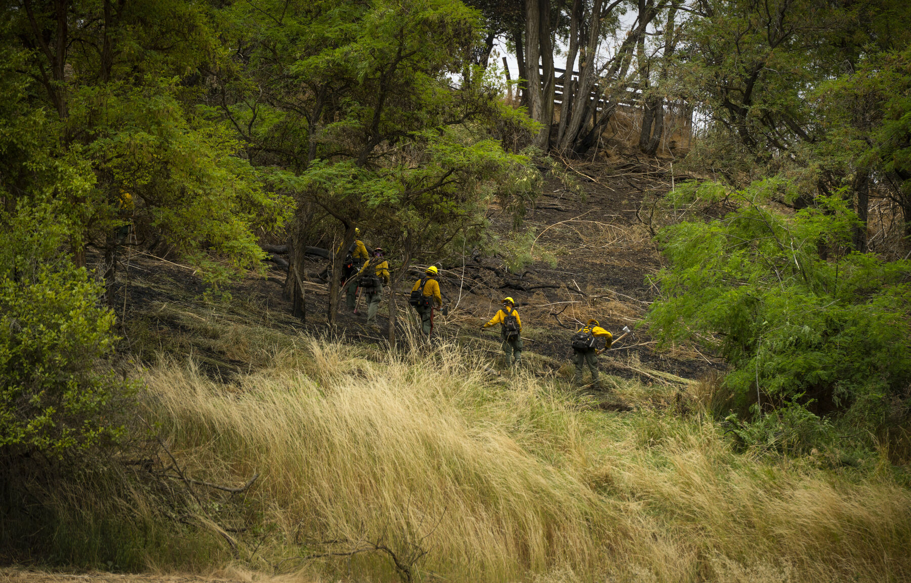 Evacuation orders for Scenic Fire burning east of Walla Walla reduced ...