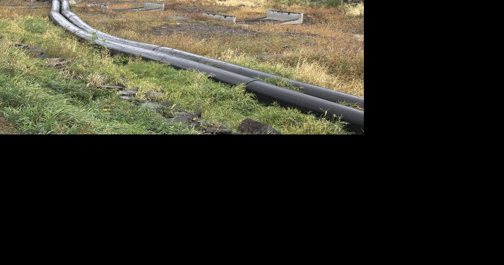 U.S. Army Corps of Engineers' comprehensive fish program focuses on ...
