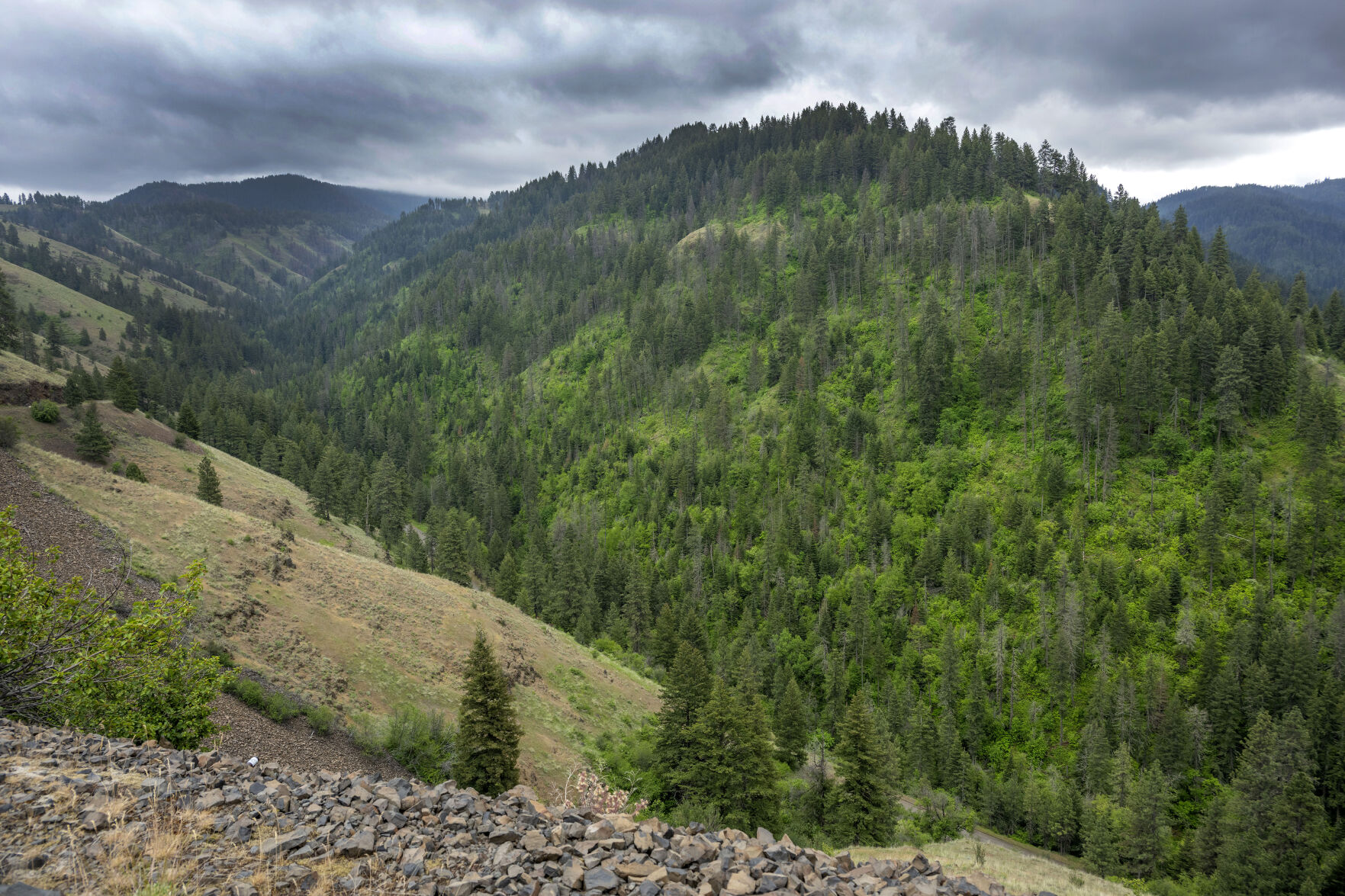 Walla Walla City Council signs letter opposing federal proposal to ...