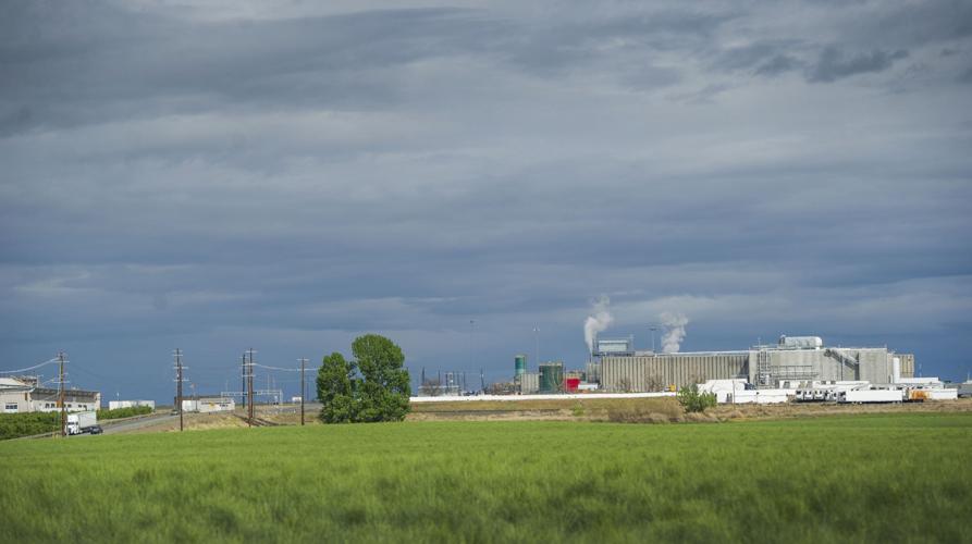 Petition calls for temporary closure at Tyson's Wallula plant ...