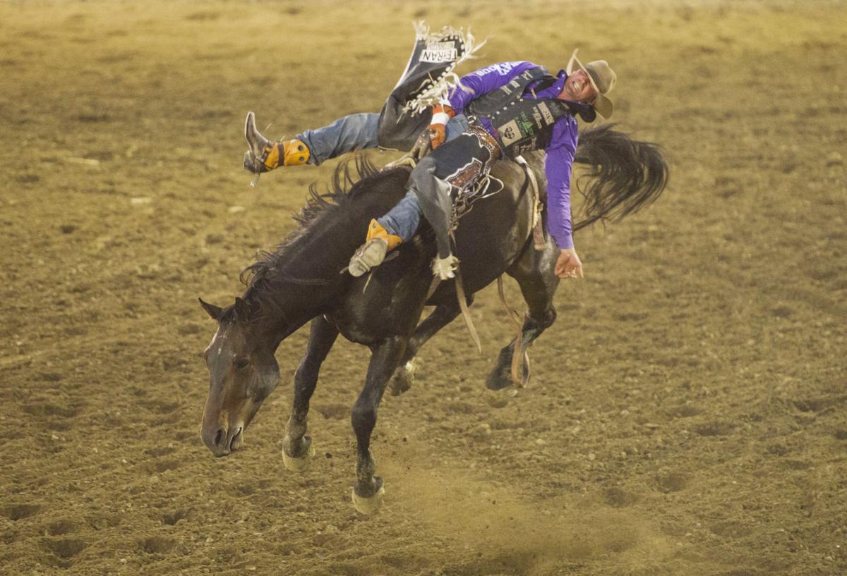 Walla Walla fair — kickin’ up pride Valley wide | Arts | union-bulletin.com