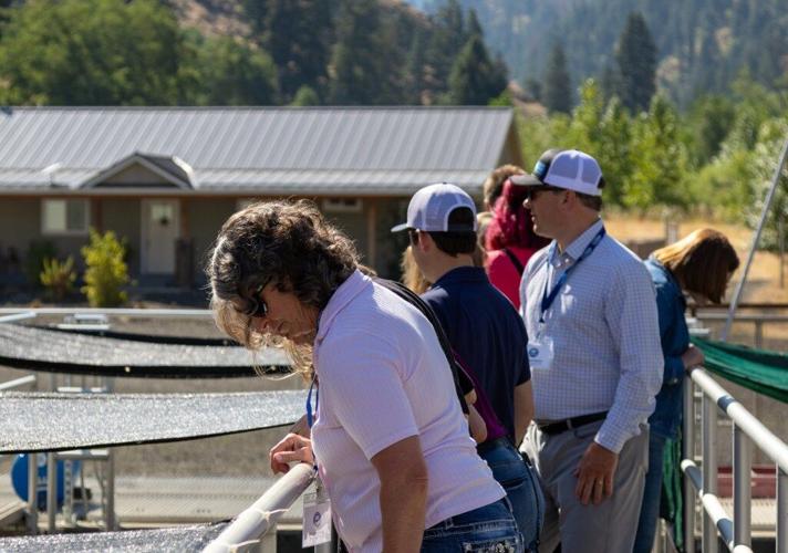 With improved collaboration, high hopes for real solutions in the Walla ...