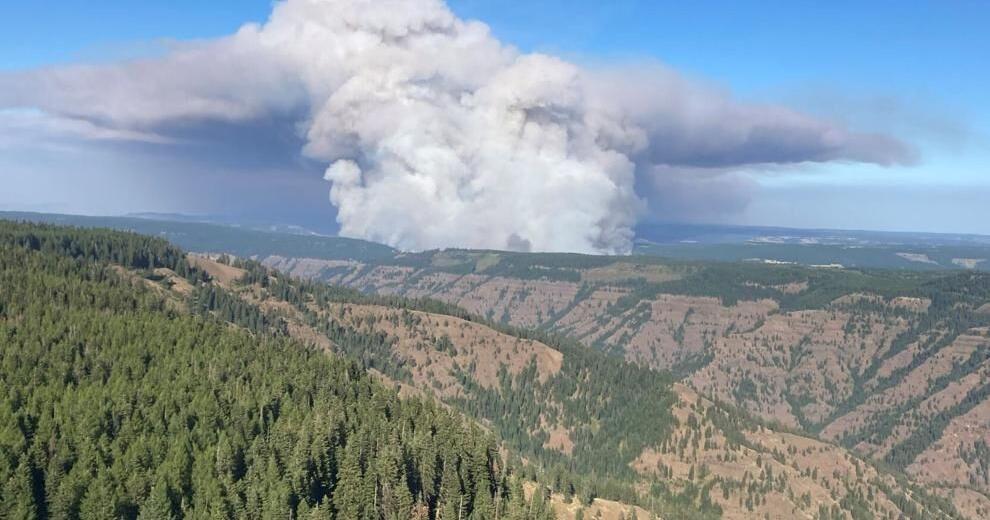 Crews clamp down on Elbow Creek Fire as Green Ridge Fire eludes ...