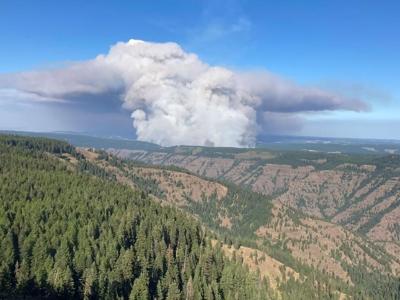 Crews clamp down on Elbow Creek Fire as Green Ridge Fire eludes ...