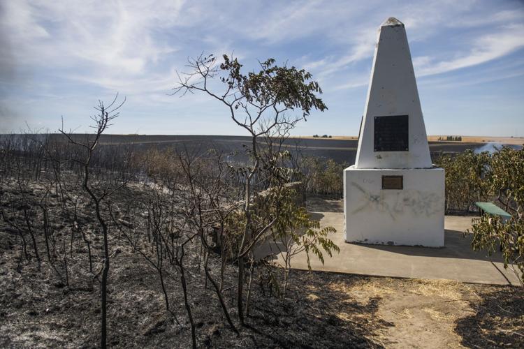 Wildfire chars hills outside Milton-Freewater | News | union-bulletin.com