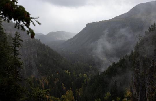 What we know about the Navy Growler crash near Mount Rainier ...