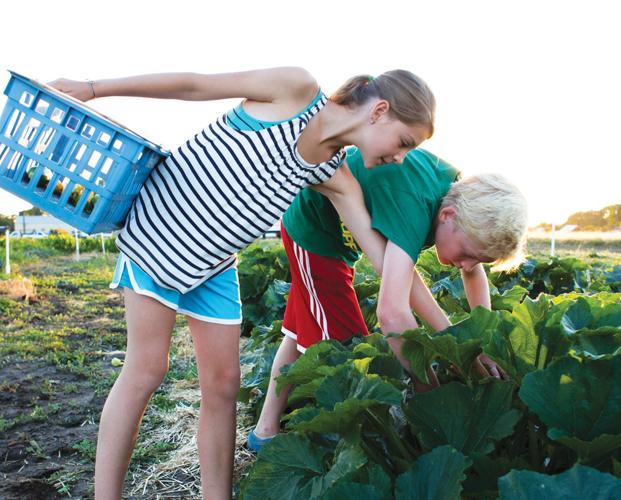 Gleaning Is the New Black | Lifestyles | union-bulletin.com