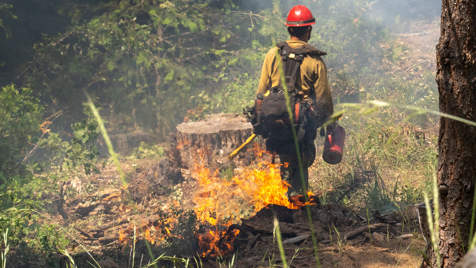 Forest Service plans 675-acre prescribed burn near Cedar Ridge | News ...