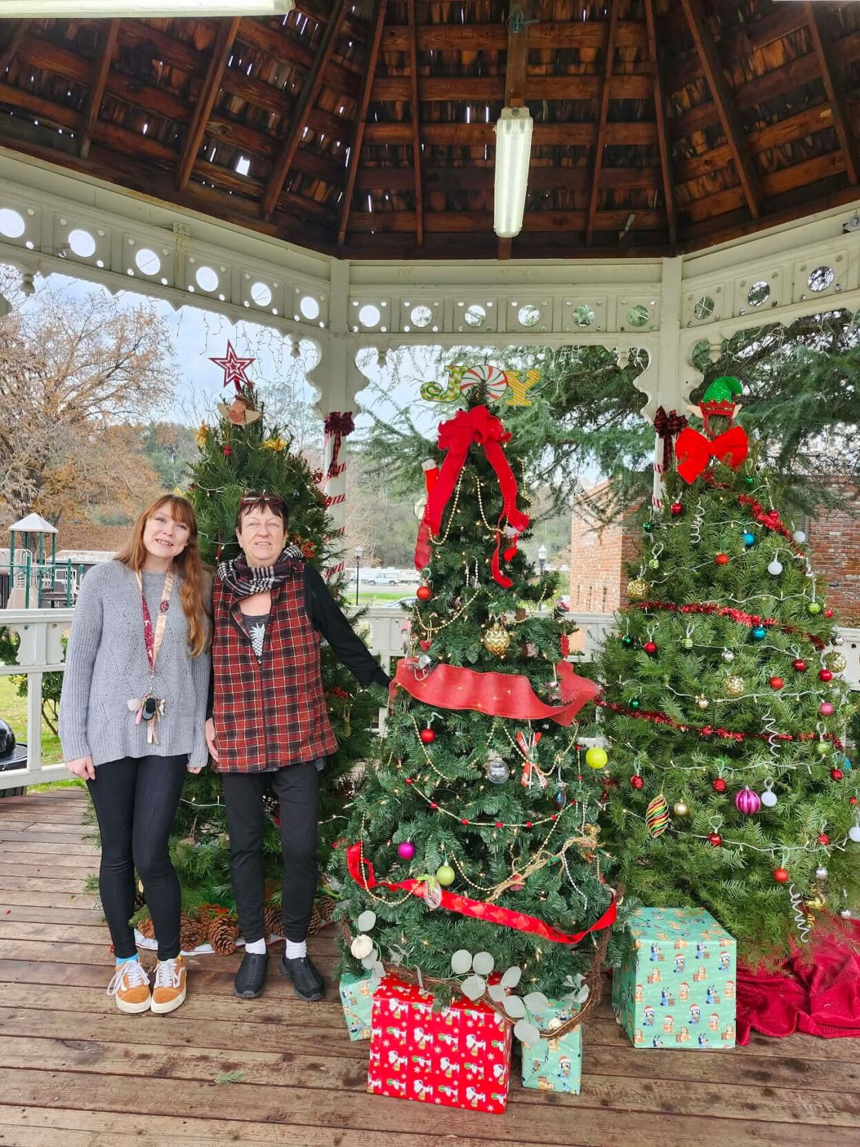 Jamestown comes together after community Christmas tree vandalized ...