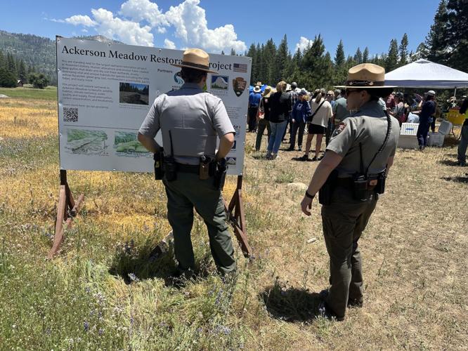 Groups celebrate $30M restoration of Ackerson Meadow, the newest ...