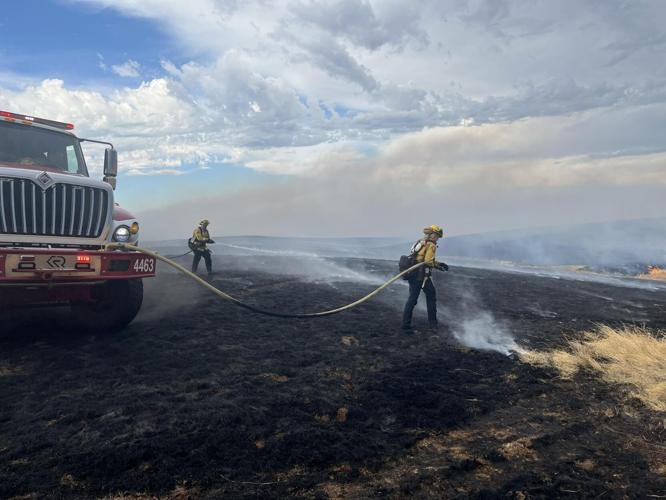 Moisture-laden monsoonal electric storms unleash lightning strikes ...