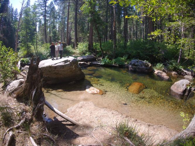 OUT THERE: Carlon Falls Trail offers a scenic, family-friendly hike ...