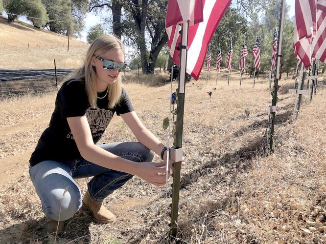 Tuolumne girl pays tribute to 13 U.S. service members killed in Kabul ...
