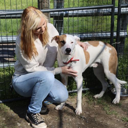 Nonprofit FOAC moves into facilities on Tuolumne Road; Mono Way ...