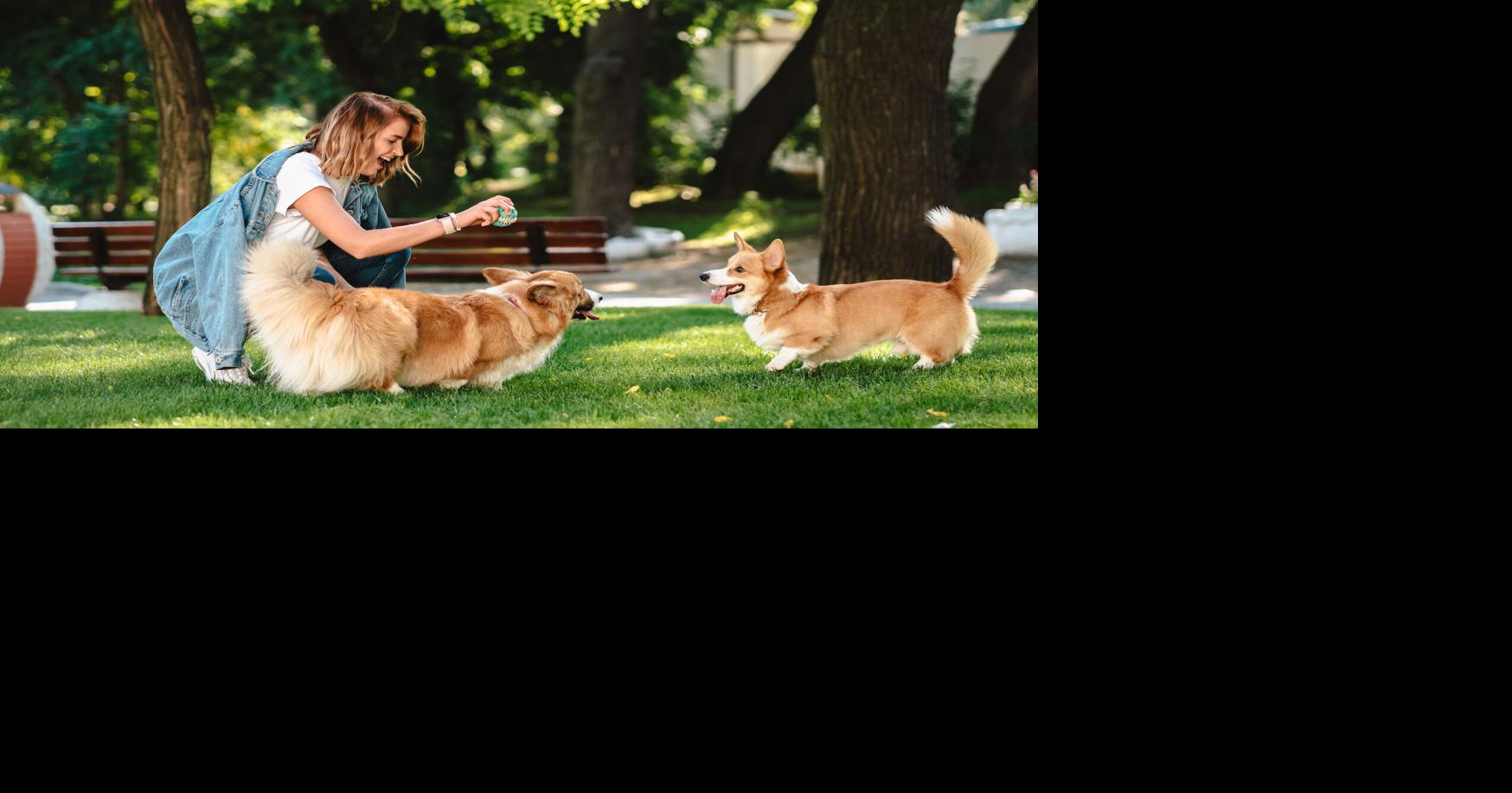 Erika Ettin: 5 ways to combat online dating fatigue (because it happens ...