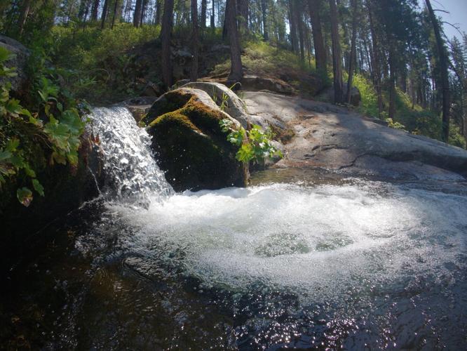 OUT THERE: Carlon Falls Trail offers a scenic, family-friendly hike ...