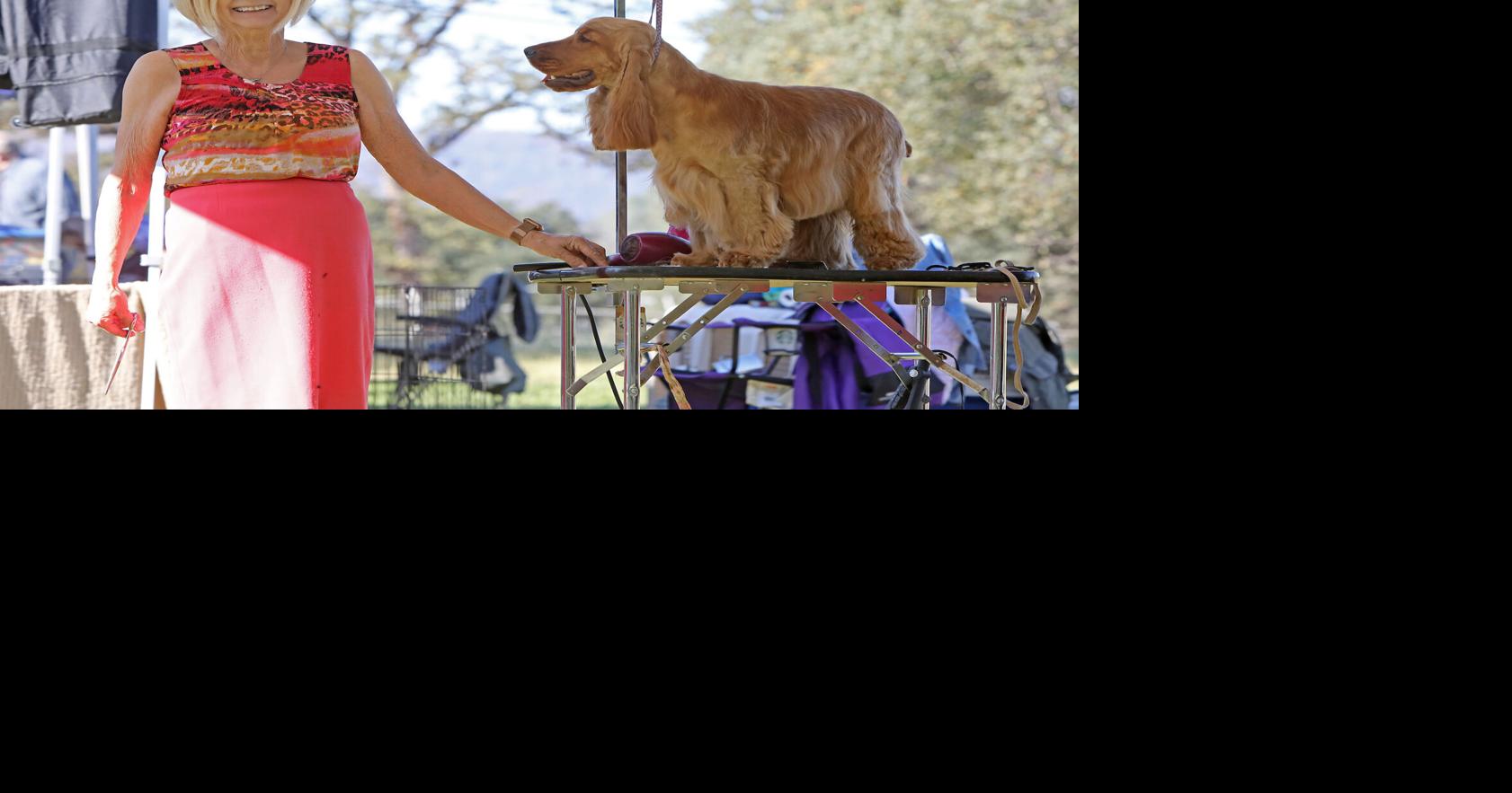 PHOTOS: Kennel club's annual dog show returns to Calaveras County ...