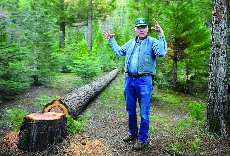 Don Moore, longtime Twain Harte educator, Christmas tree farmer, dies ...