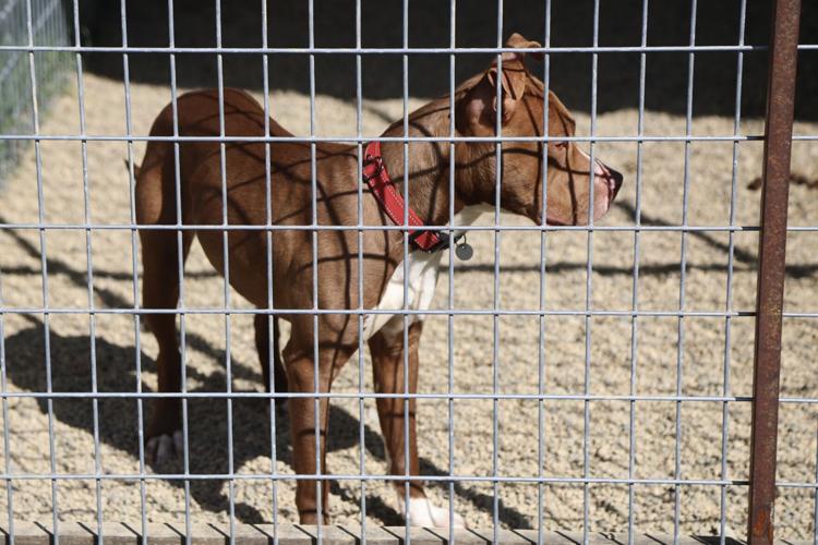 Nonprofit FOAC moves into facilities on Tuolumne Road; Mono Way ...