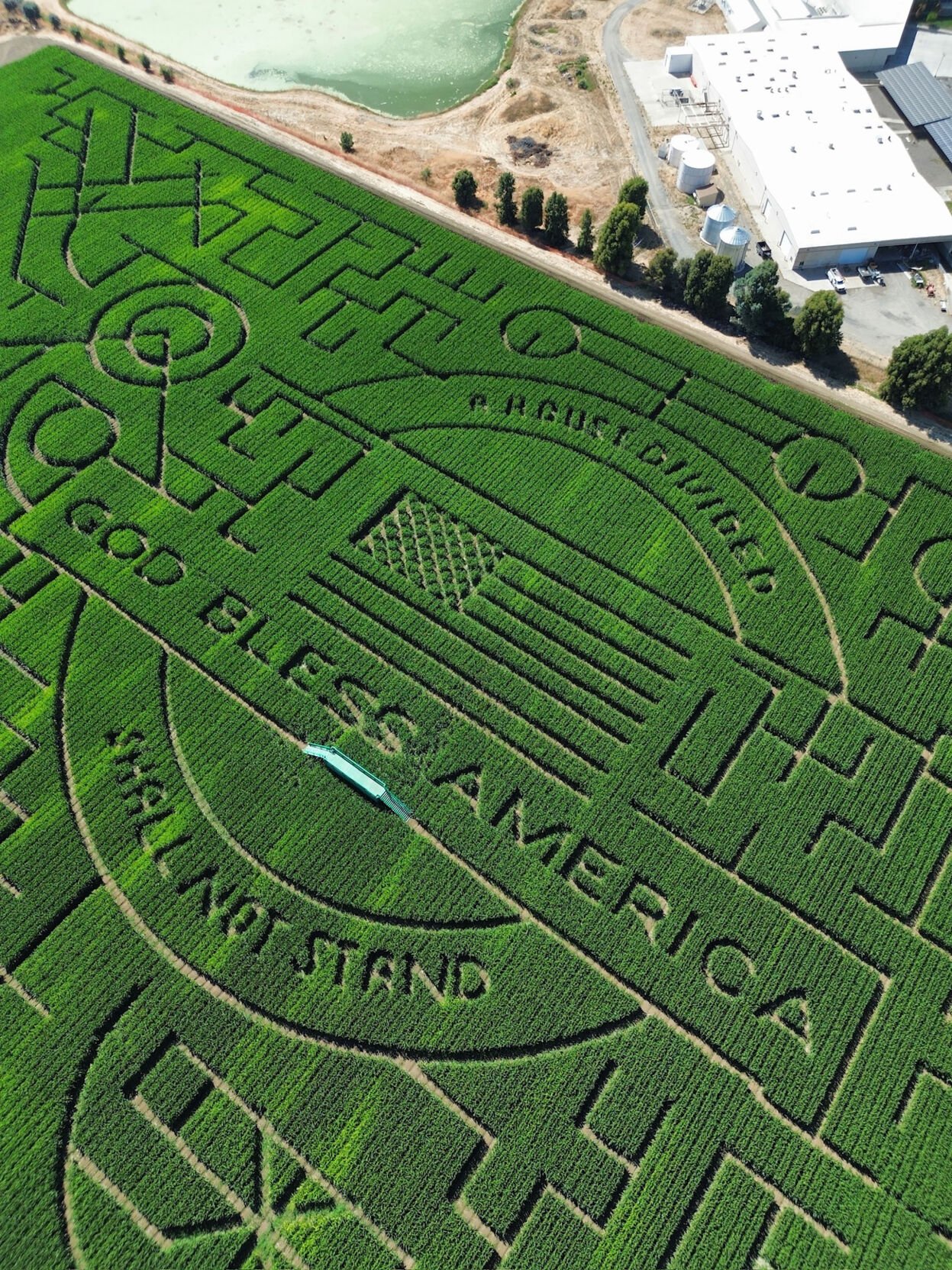 Navigating this world-record corn maze is a test of the human psyche ...