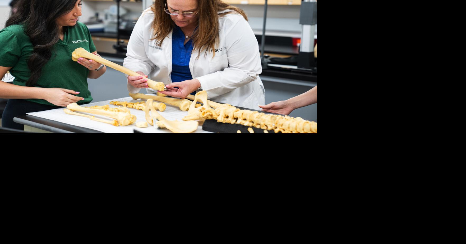 When human bones turn up in South Florida, this professor and her ...