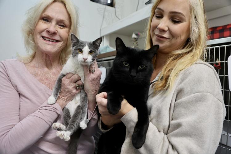 Nonprofit FOAC moves into facilities on Tuolumne Road; Mono Way ...