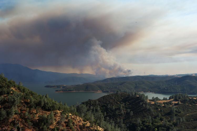 ‘All you can do is pray’: Pedro Fire expands to more than 3,600 acres ...