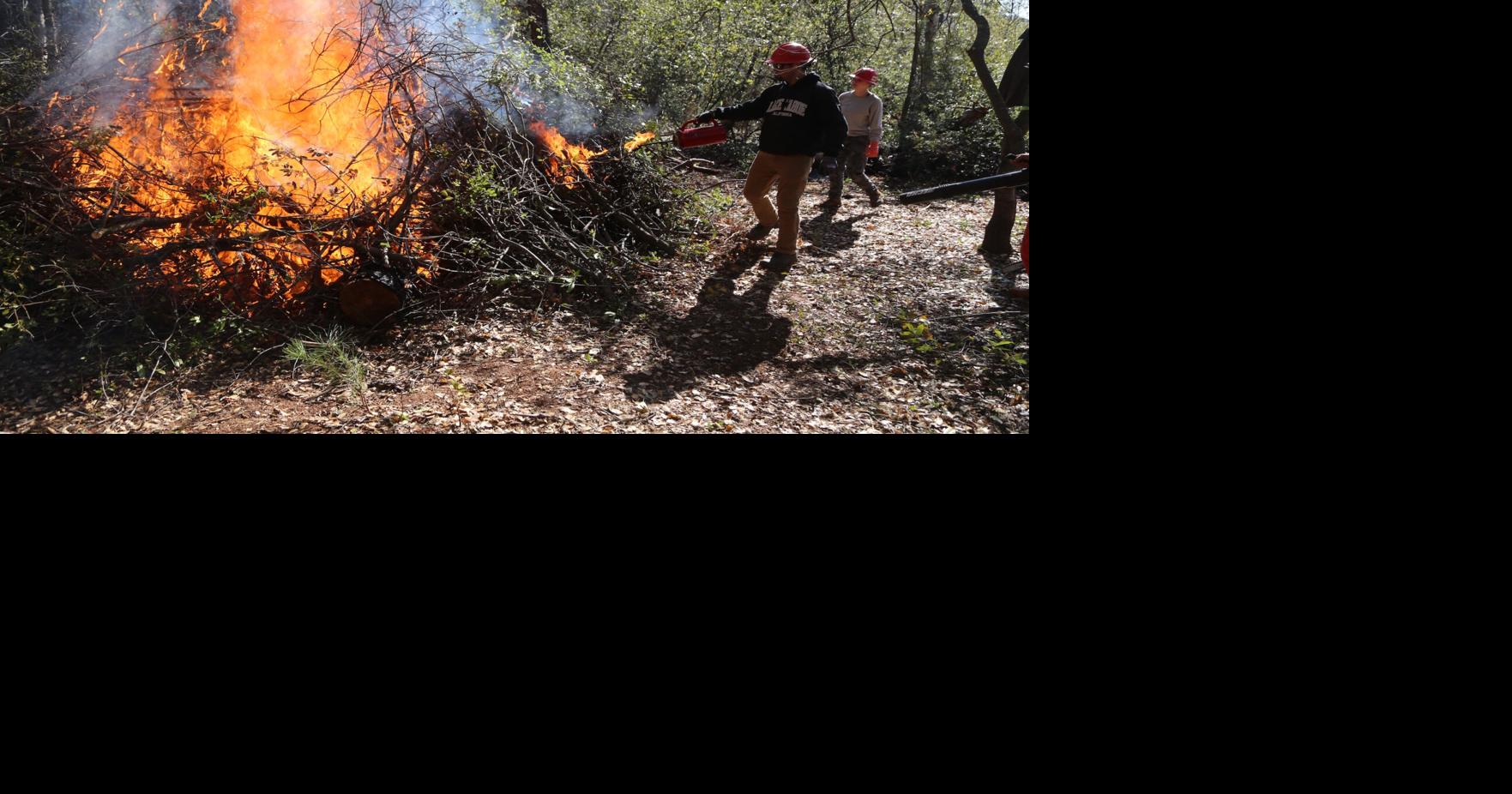 Students work to reduce fire fuels in forestry class at Columbia ...