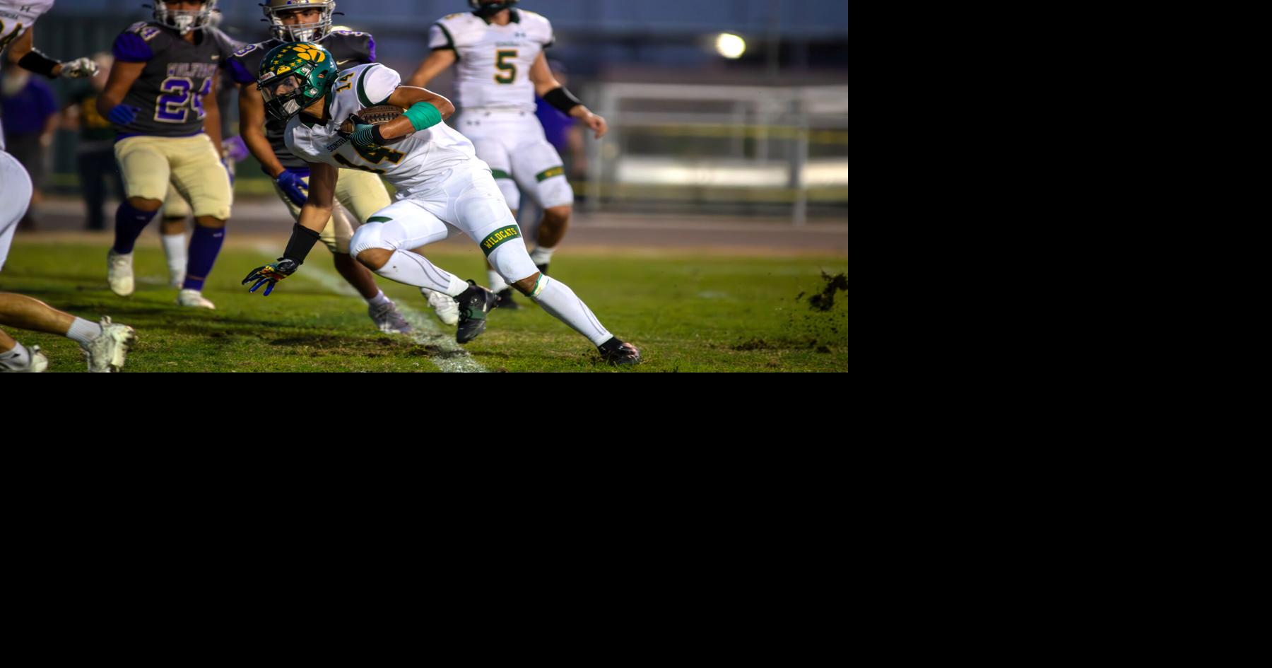 Wildcats pounce on Wolves in 42-13 victory at Livingston | Sports ...