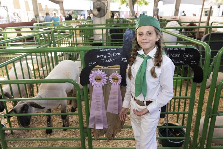 Thousands flock to Mother Lode Fair; livestock auction sees 2nd-highest ...