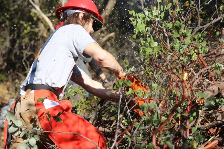 Students work to reduce fire fuels in forestry class at Columbia ...