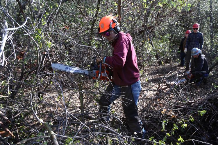 Students work to reduce fire fuels in forestry class at Columbia ...